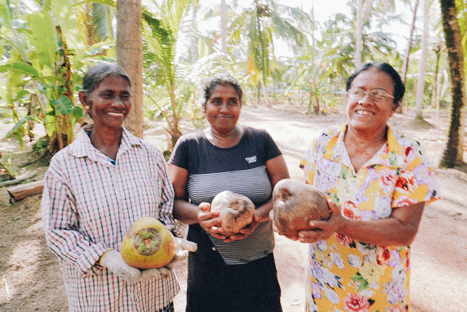 COCONUT OIL – sunnycoco